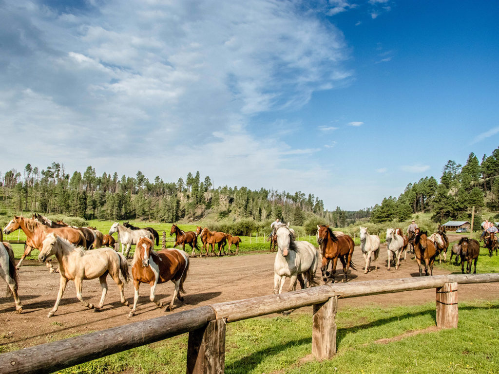 Ranch Activities | Sprucedale Guest Ranch | Alpine, AZ 85920 ...